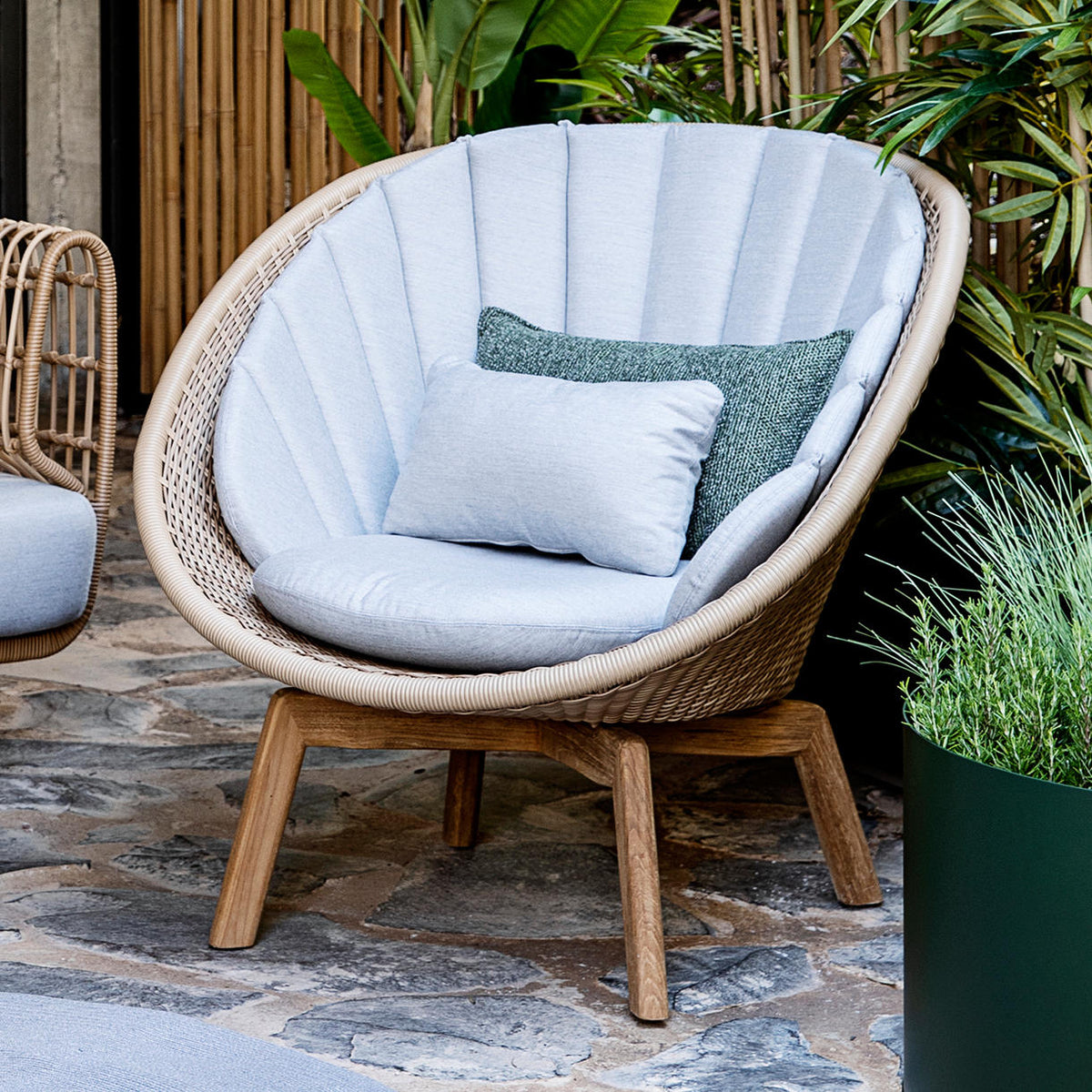 Buy Peacock Flat Weave Lounge Chair with Teak Legs — The Worm that ...