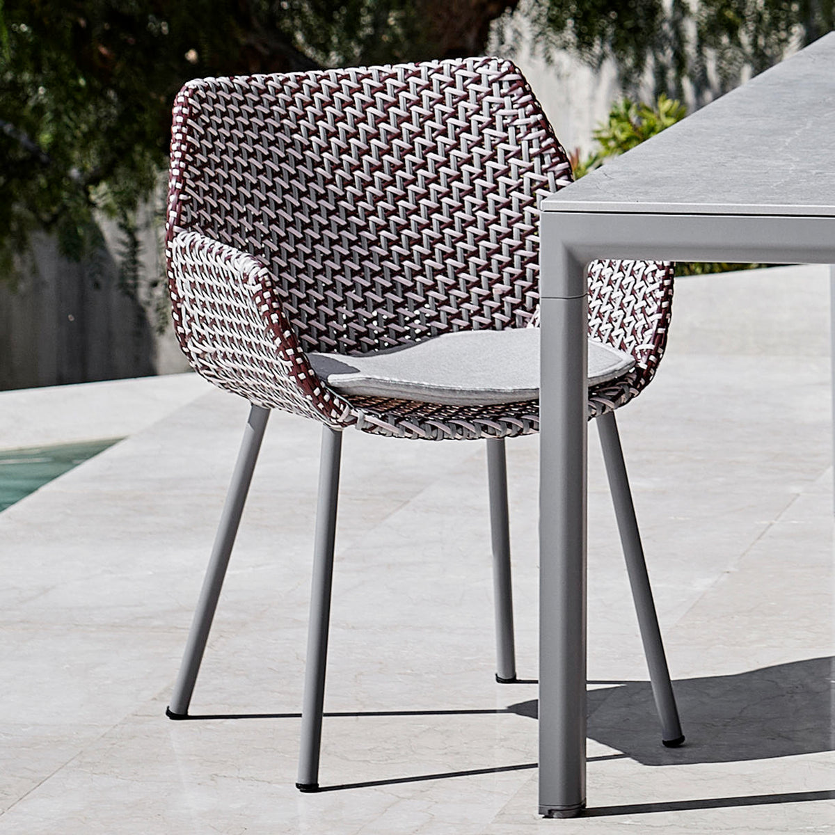 Buy Vibe Dining Armchair — The Worm that Turned - revitalising your ...