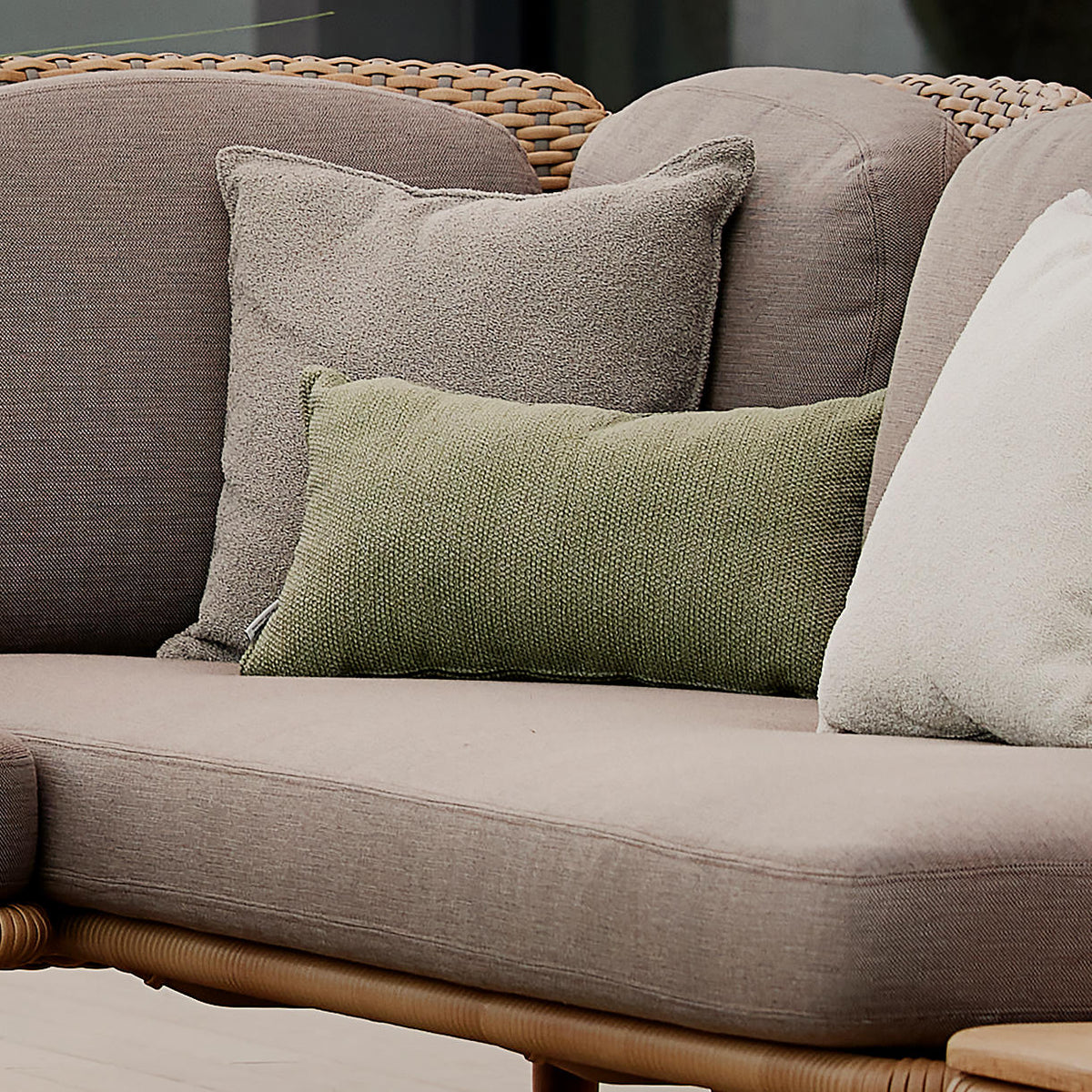 Buy Wove Rectangular Scatter Cushion — The Worm that Turned ...