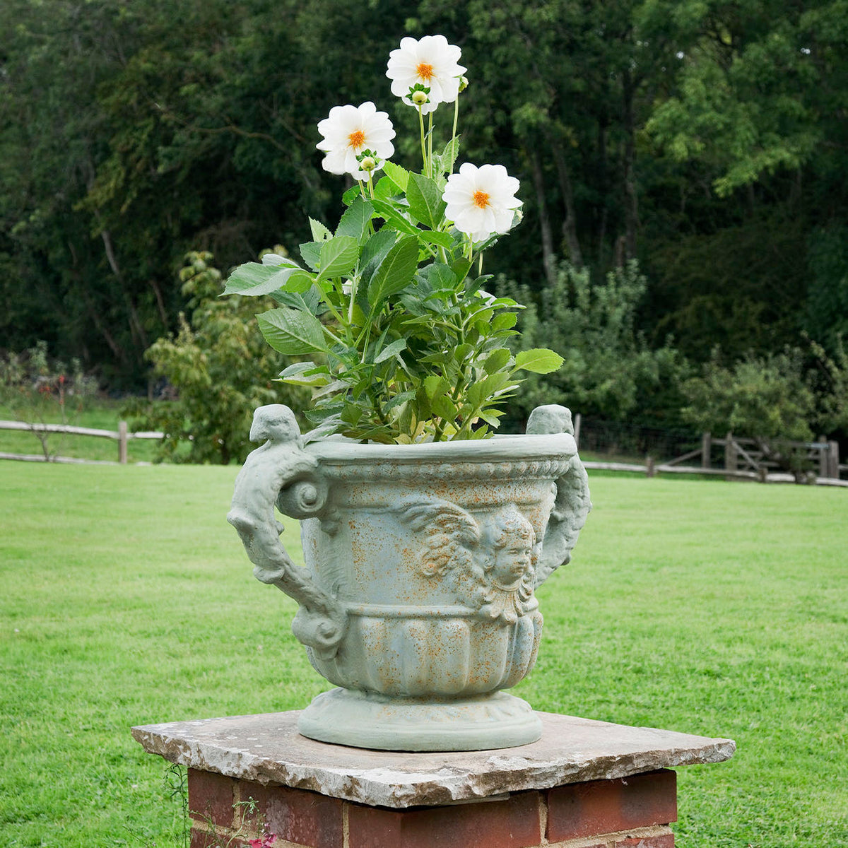 Buy Queen Anne Urn Planter — The Worm that Turned - revitalising your ...