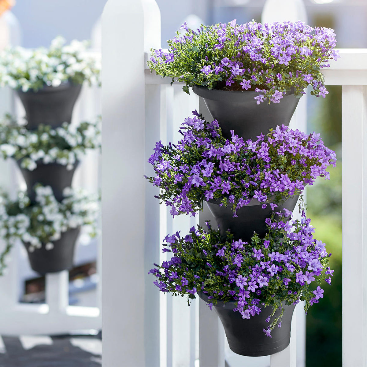 Buy Hanging Vertical Wall Planter - Set of 3 Pots — The Worm that ...