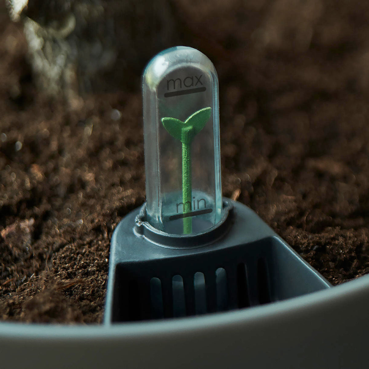 Buy Self-Watering Inserts for Indoor Plant Pots — The Worm that Turned ...