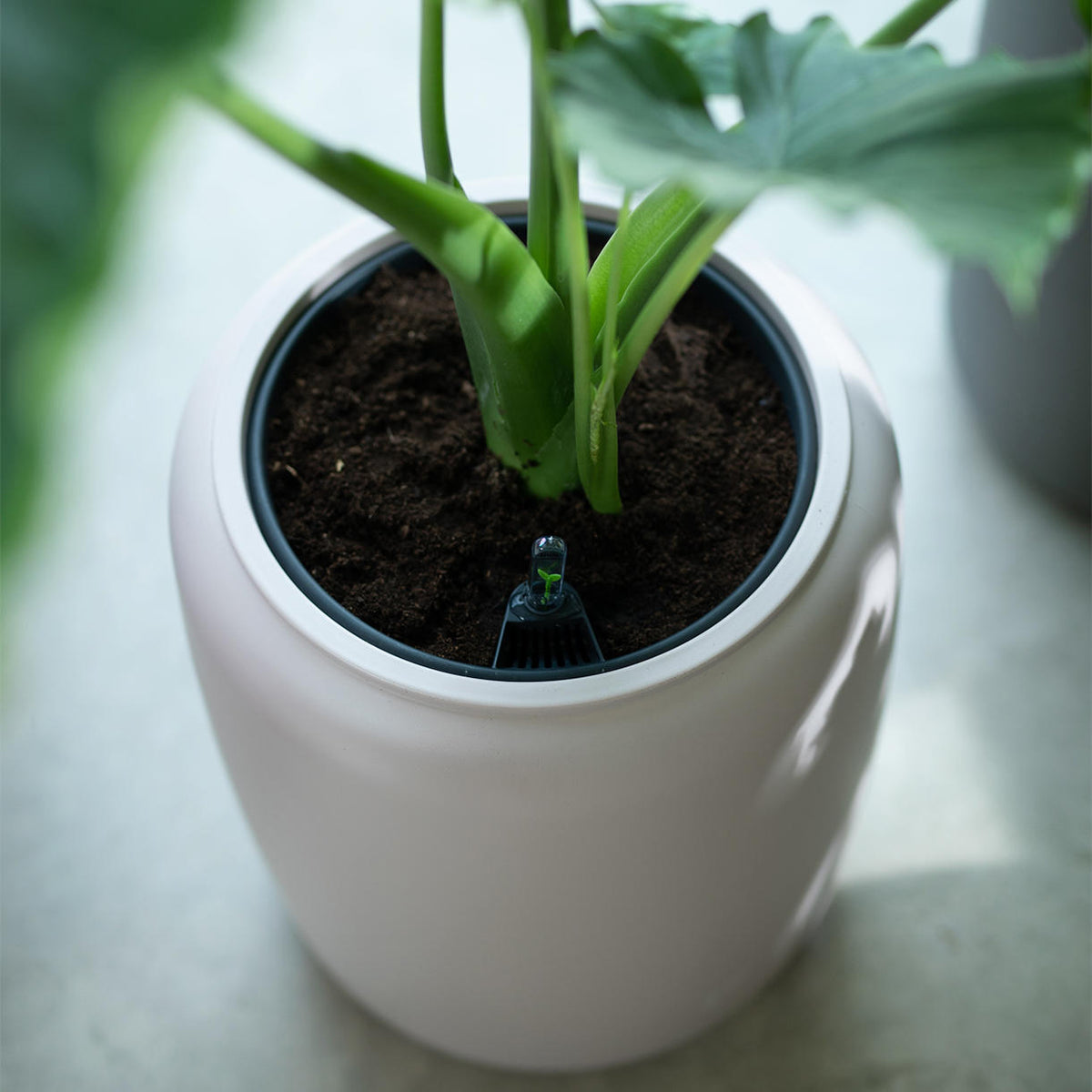 Buy Self-Watering Inserts for Indoor Plant Pots — The Worm that Turned ...