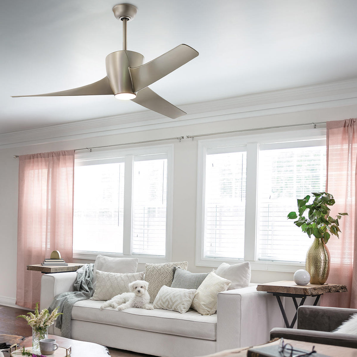 Buy Phree Indoor Ceiling Fans — The Worm that Turned - revitalising ...