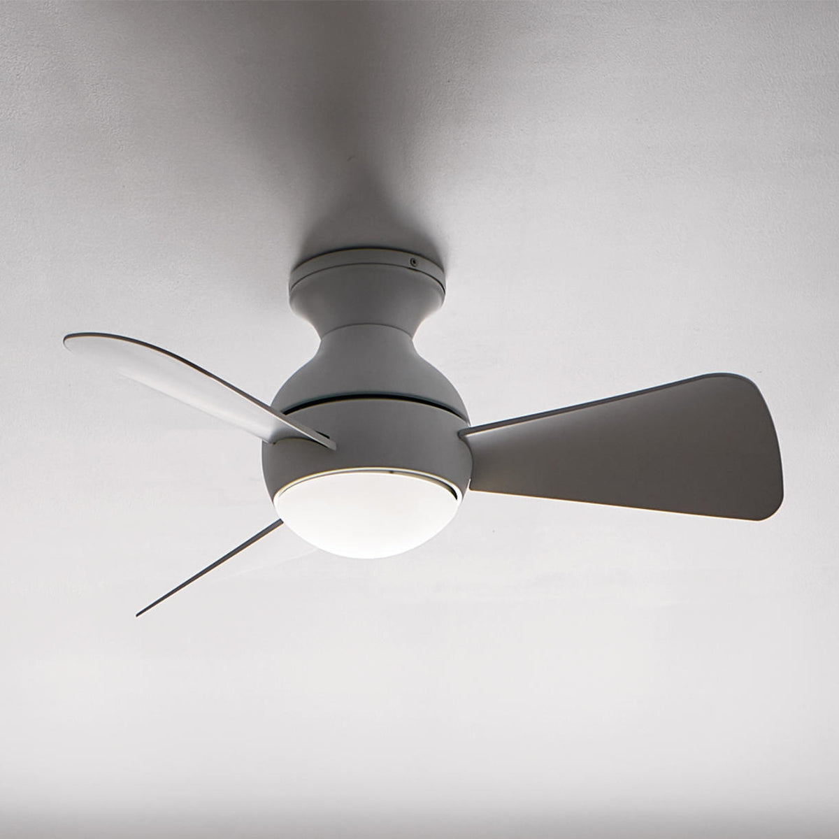 Buy Sola Ceiling Fan with LED Light — The Worm that Turned ...