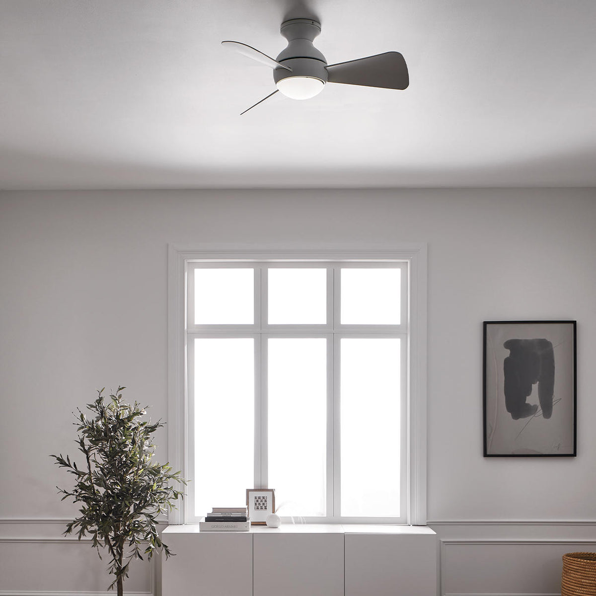 Buy Sola Ceiling Fan with LED Light — The Worm that Turned ...