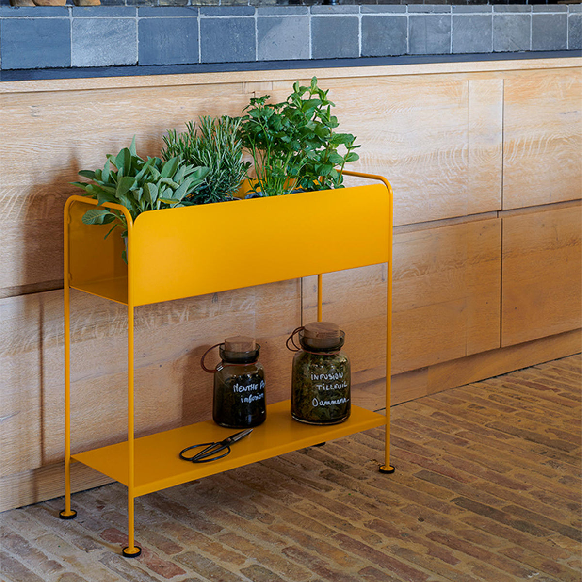 Buy Picolino Plant Stand — The Worm that Turned - revitalising your ...