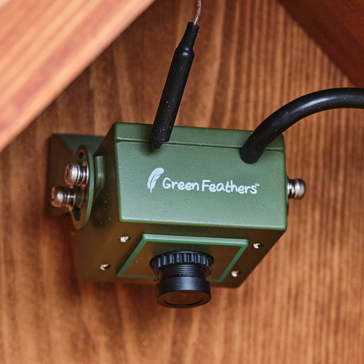 Buy Bird Box Wi-Fi HD Colour Camera — The Worm that Turned ...