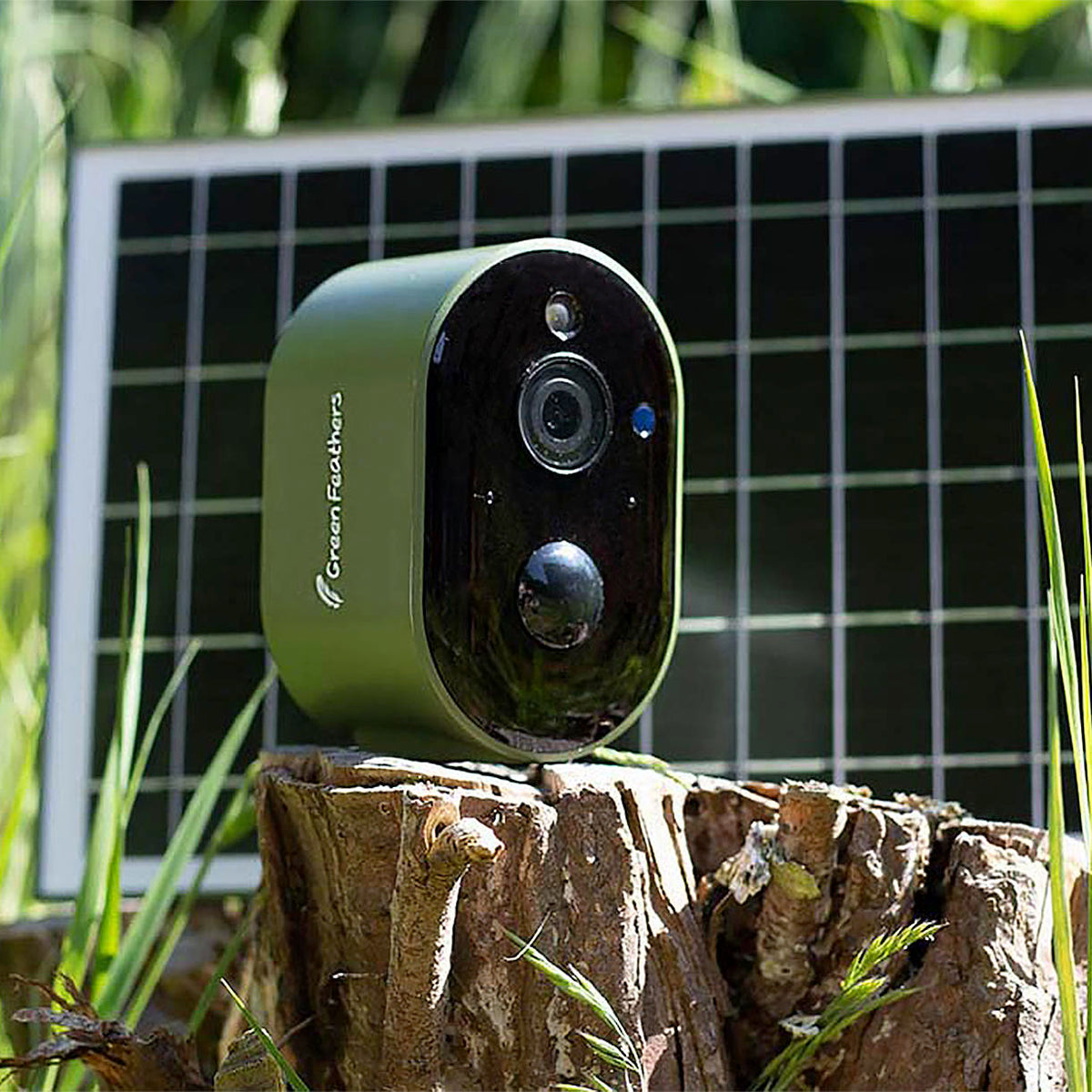 Buy Solar Bird Box Camera — The Worm that Turned - revitalising your ...