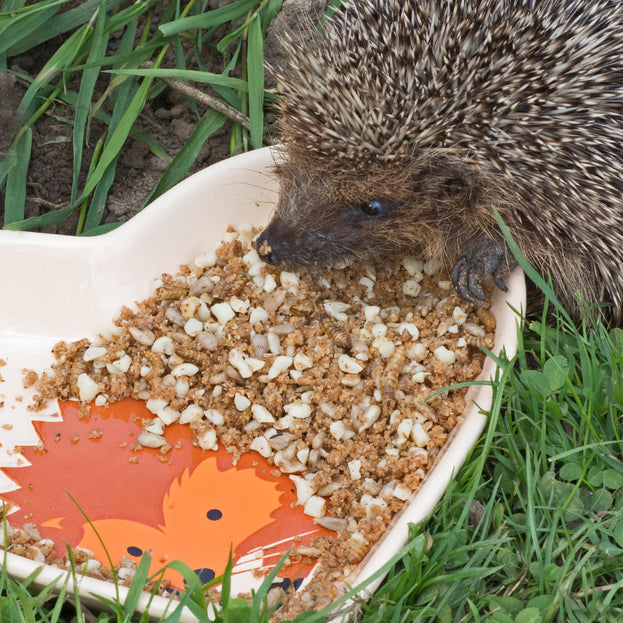 Buy I Love Hedgehogs Food — The Worm that Turned - revitalising your ...