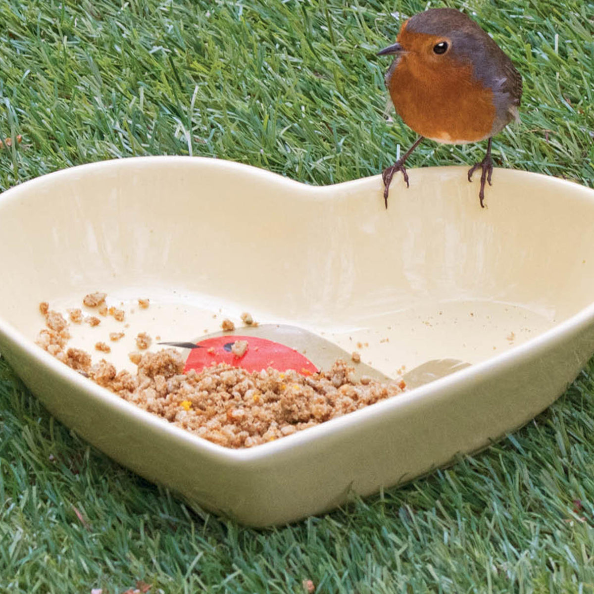 Buy I Love Robin Bird Food — The Worm that Turned - revitalising your ...