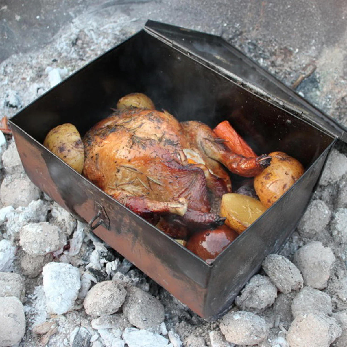 Buy Stainless Steel Roasting Oven — The Worm that Turned - revitalising ...