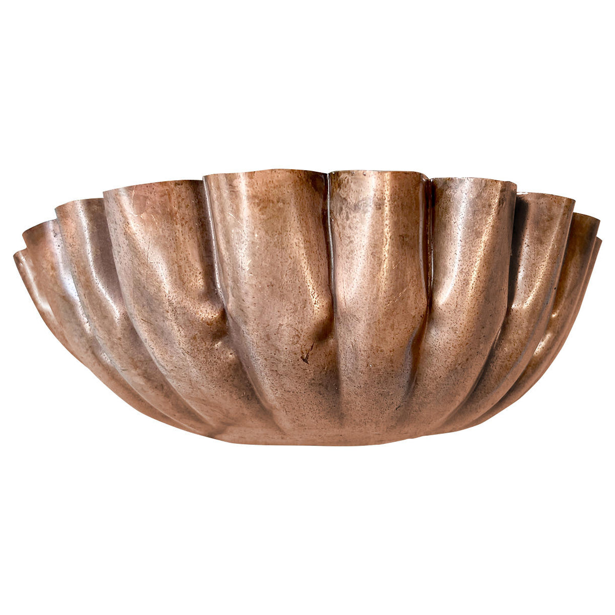 Buy Copper Shell Shaped Wall Planter — The Worm that Turned ...