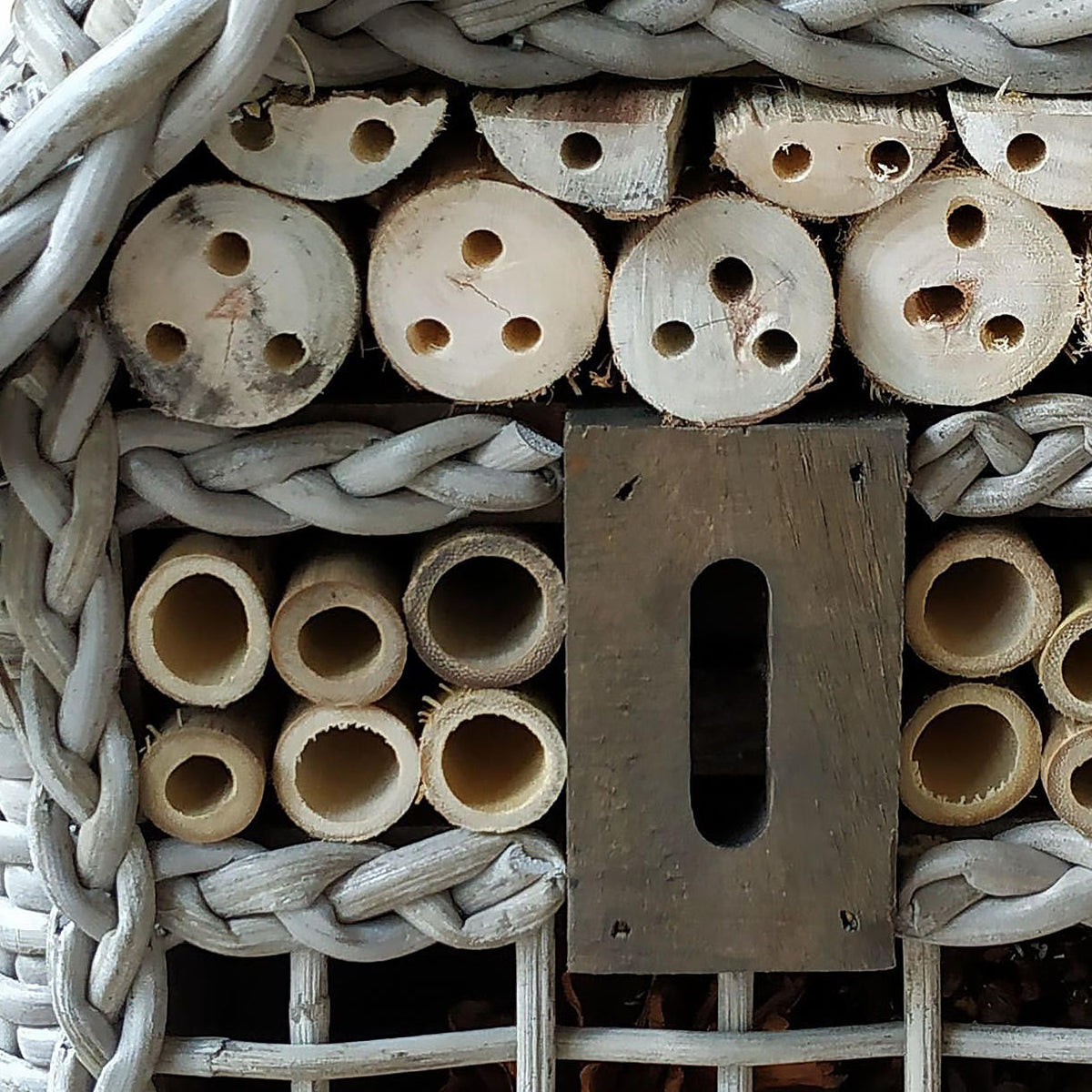 Buy Rustic Wicker Insect Hotel — The Worm that Turned - revitalising ...