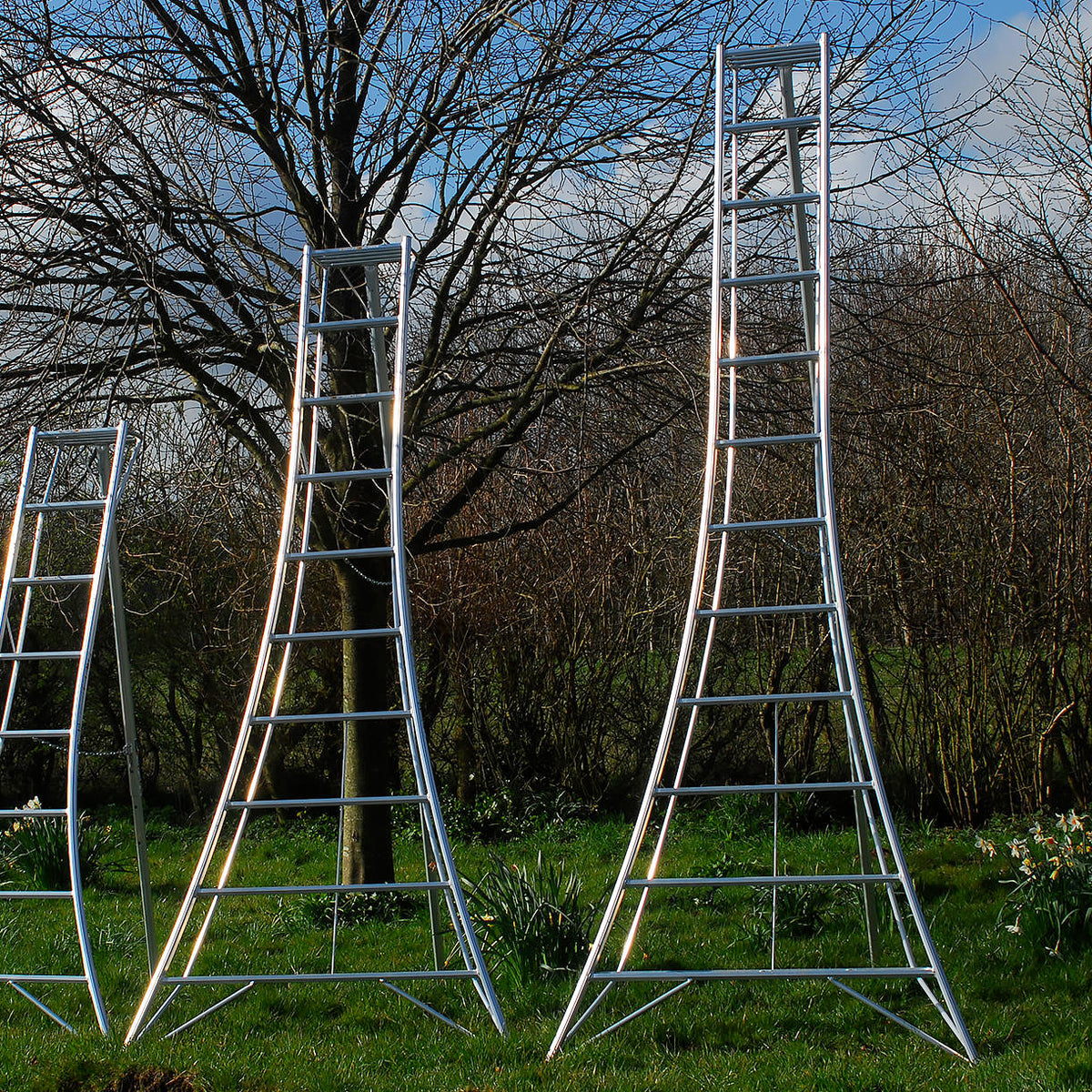 Buy Niwaki Tripod Ladders — The Worm that Turned - revitalising your ...