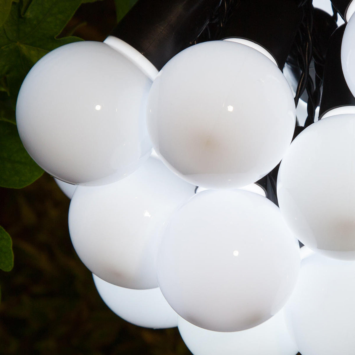Buy 20 Solar White Festoon Lights — The Worm that Turned - revitalising ...
