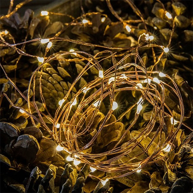 Buy Copper Bare Wire LED Outdoor String Lights — The Worm that Turned ...