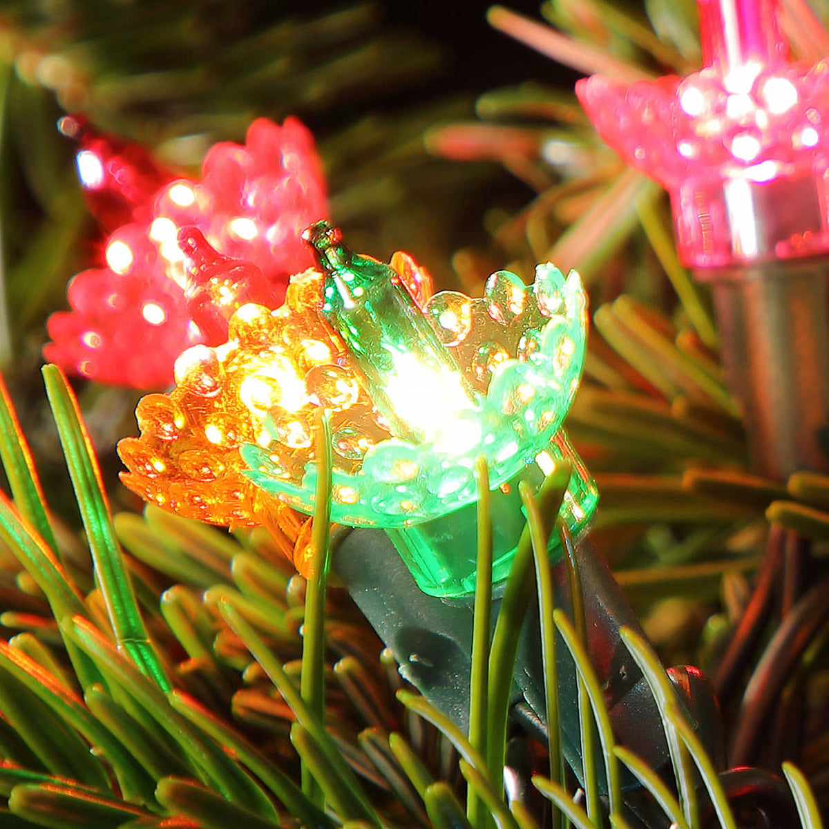 Buy Multicolour Retro Flower Shade LED String Lights — The Worm that ...