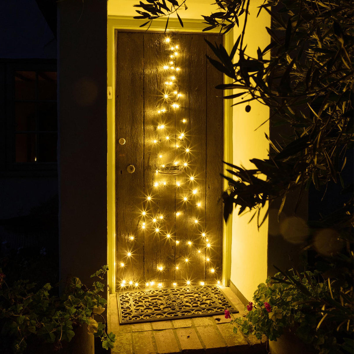 Buy Outdoor Illuminated Door Tree with LED Lights — The Worm that ...
