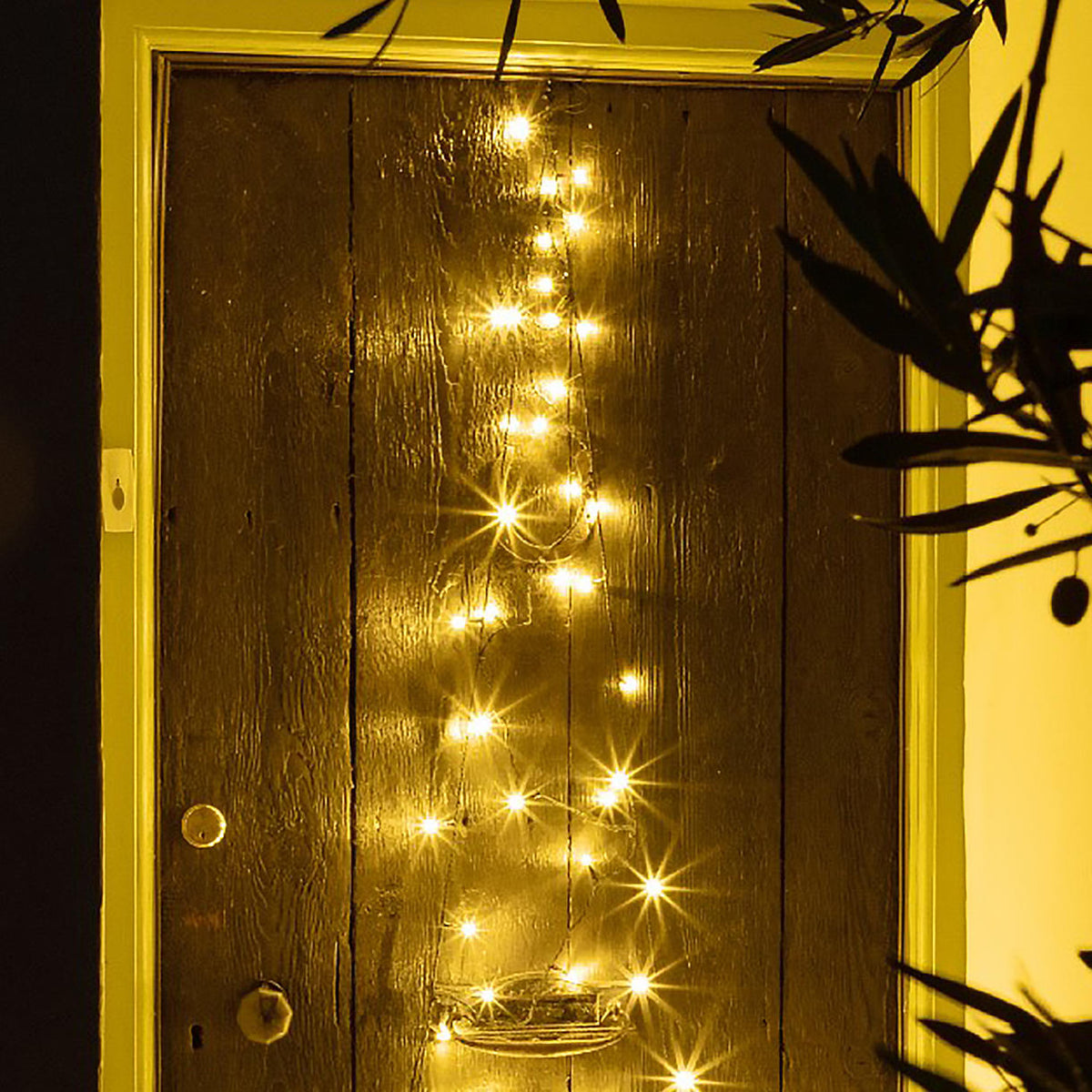Buy Outdoor Illuminated Door Tree with LED Lights — The Worm that ...