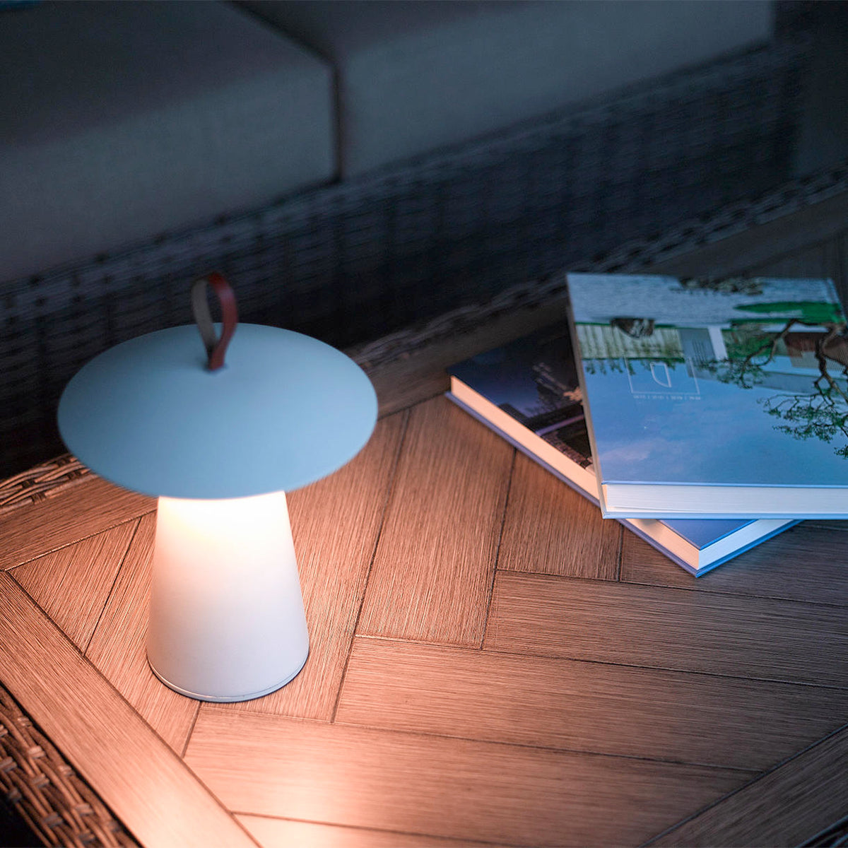 Buy Ara To-Go Portable Lights — The Worm that Turned - revitalising ...