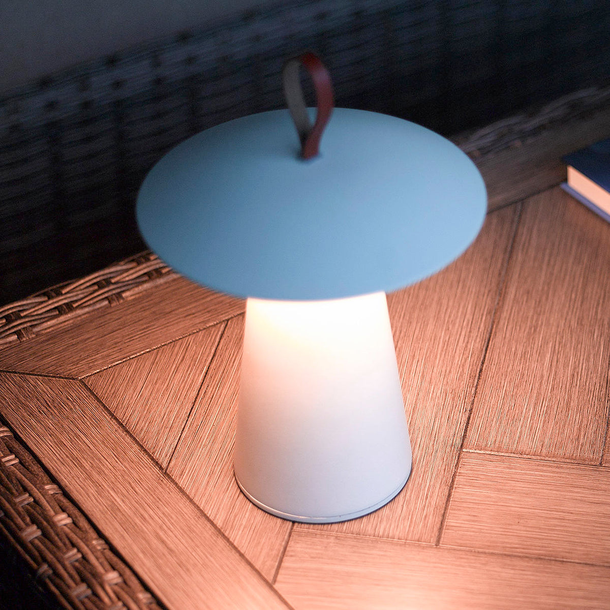 Buy Ara To-Go Portable Lights — The Worm that Turned - revitalising ...