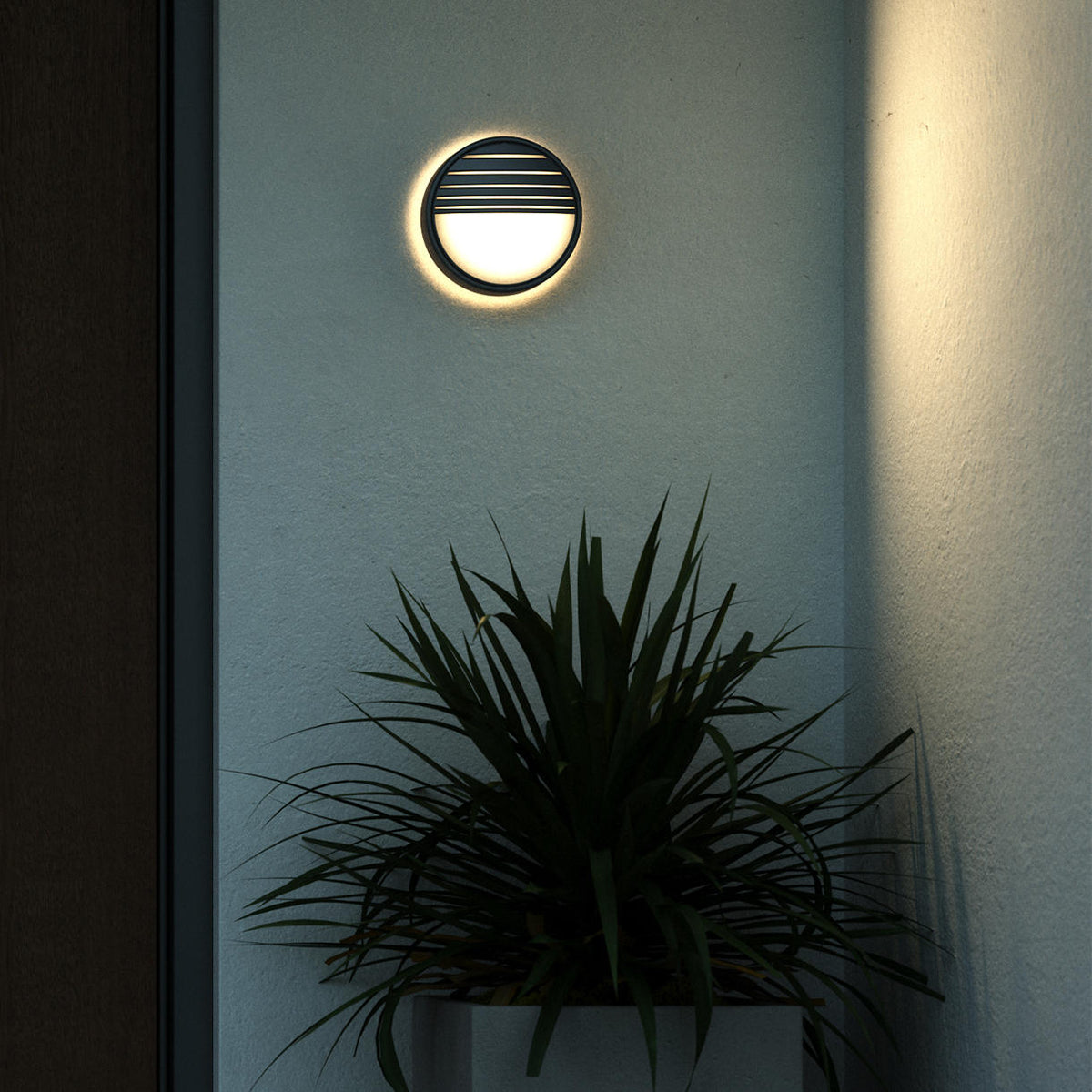 Buy Oliver Outdoor Round Wall Light — The Worm that Turned ...