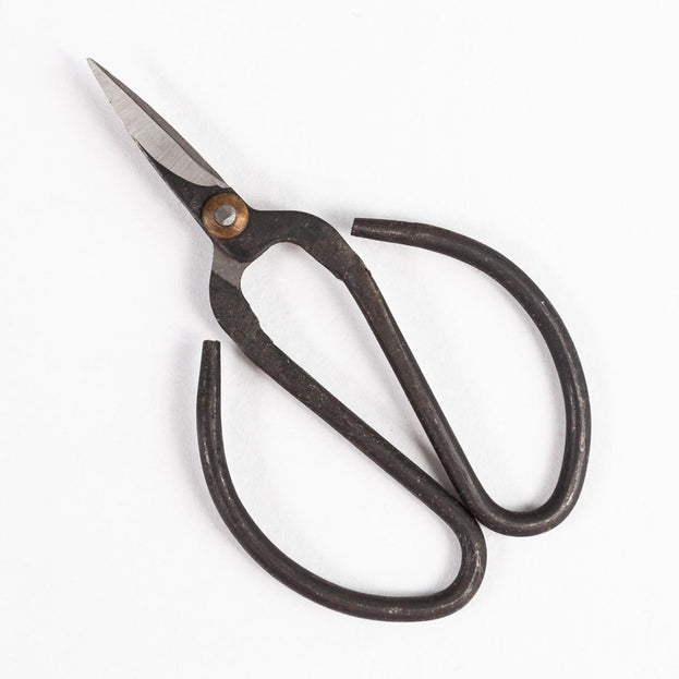 Buy Traditional Flower Scissors — The Worm that Turned - revitalising ...