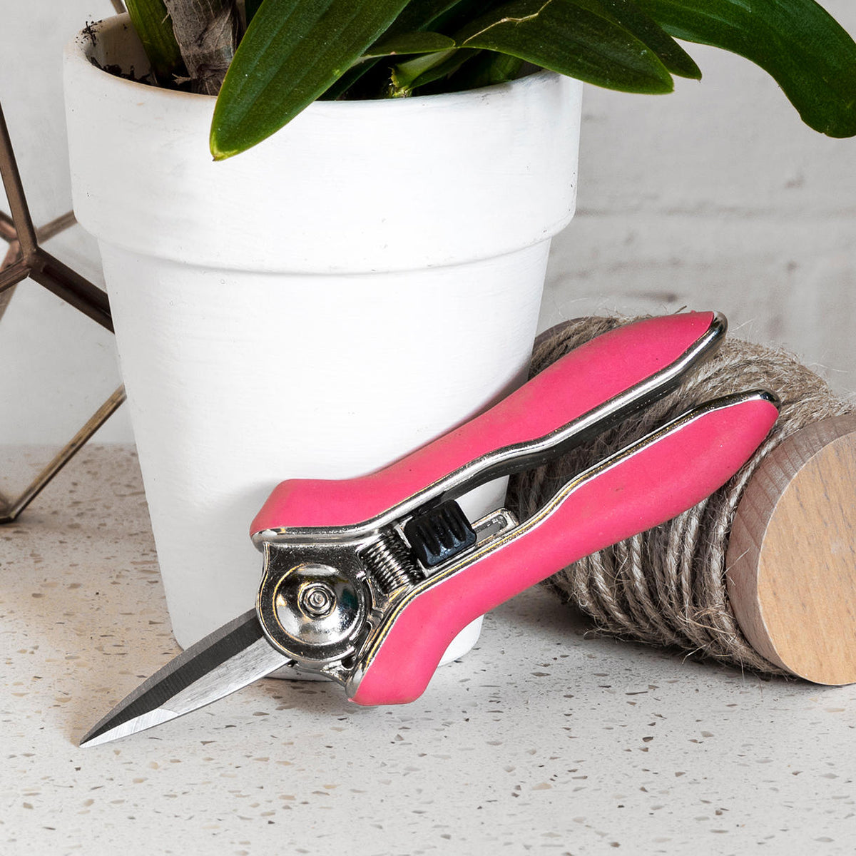 Buy Orchid Snips — The Worm that Turned - revitalising your outdoor space