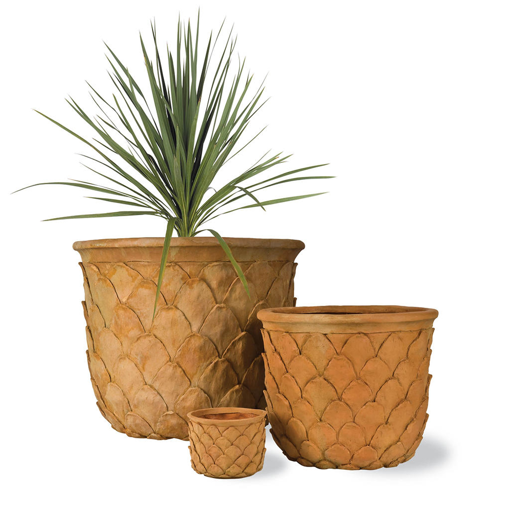Buy Pineapple Planter — The Worm that Turned - revitalising your ...
