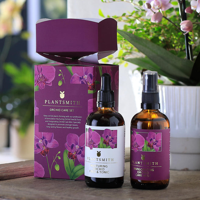 Buy Orchid Care Set Gift Cracker — The Worm that Turned - revitalising ...