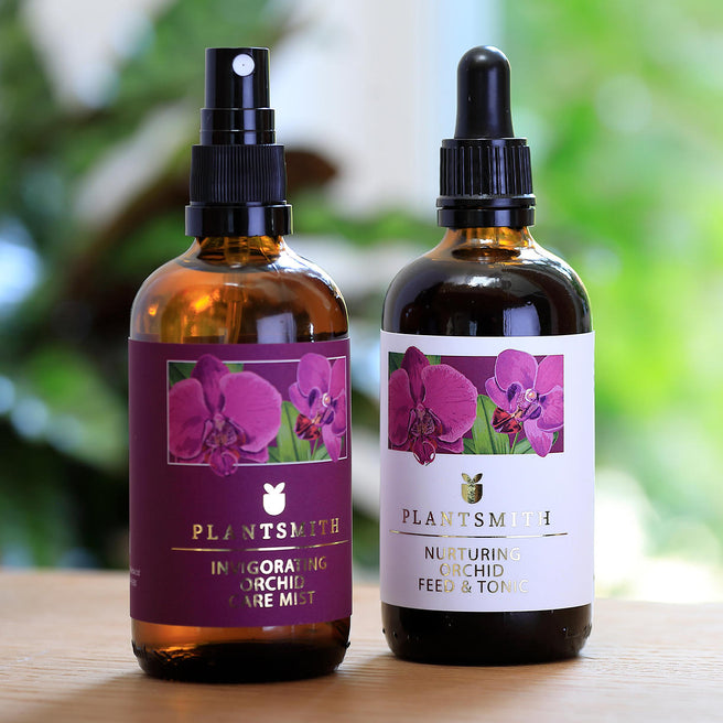 Buy Orchid Care Set Gift Cracker — The Worm that Turned - revitalising ...