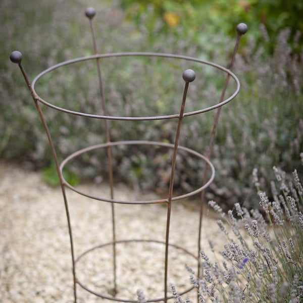 Buy Flared Plant Support — The Worm that Turned - revitalising your ...