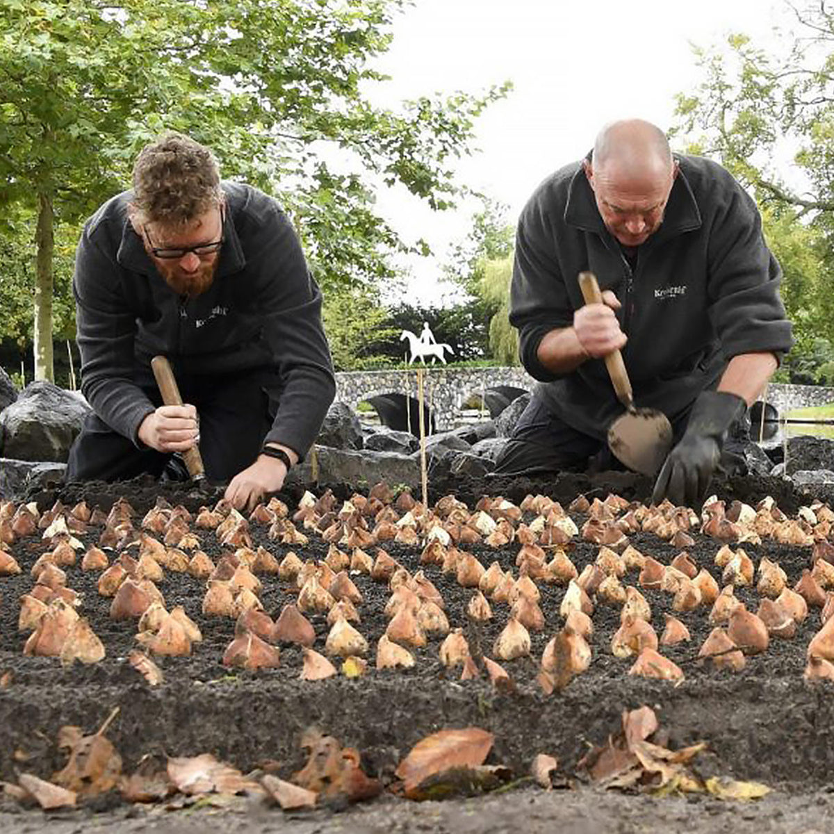 Buy Sneeboer Old Dutch Style Planting Trowel — The Worm that Turned ...