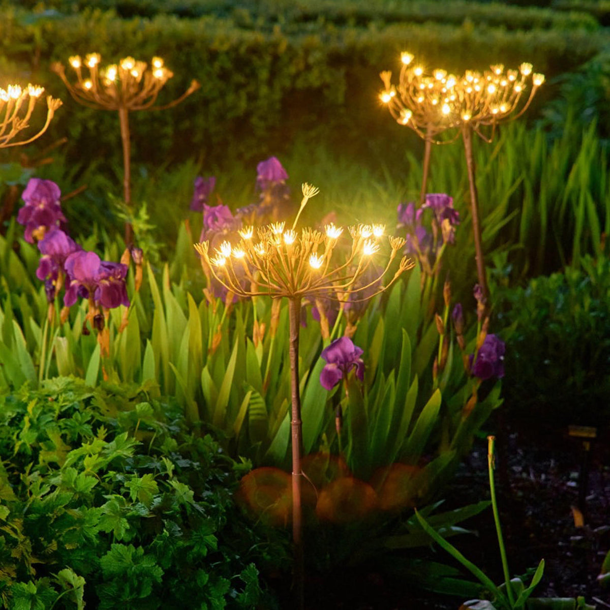 Buy Wild Fennel LED Solar Outdoor Stake Light — The Worm that Turned ...