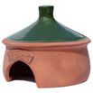 Buy Frogilo Frog House — The Worm that Turned - revitalising your ...
