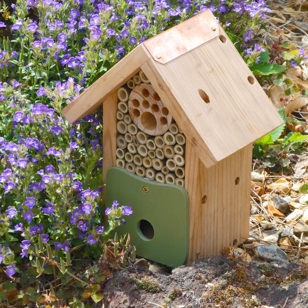 Buy Solitary Bee Barn — The Worm that Turned - revitalising your ...